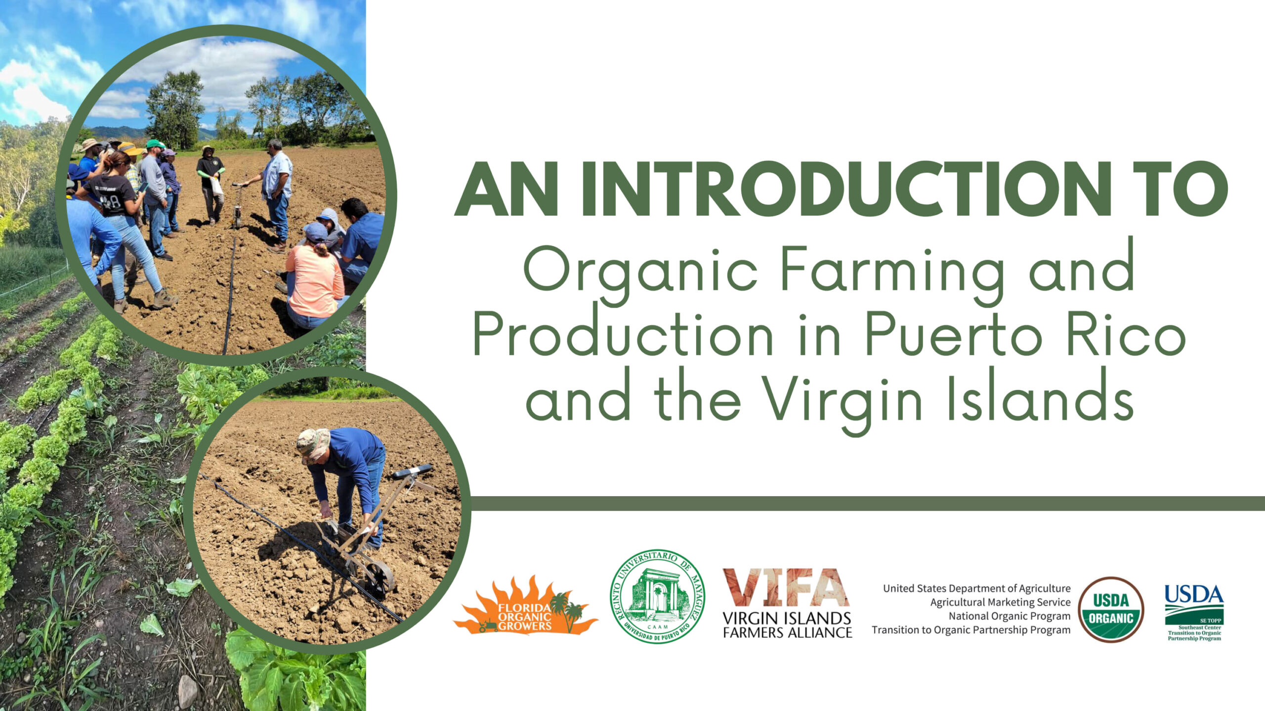 "Explore Organic Farming in Puerto Rico & Virgin Islands - Transition ...